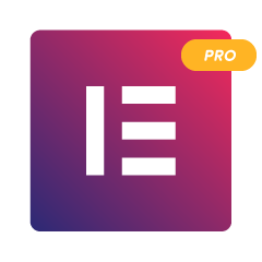 Elementor Pro - Knowledge Base | BuddyBoss Resources