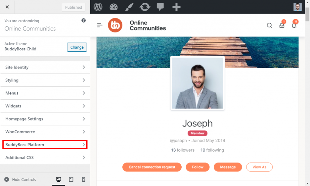 Profile Action Buttons - Knowledge Base | BuddyBoss Resources