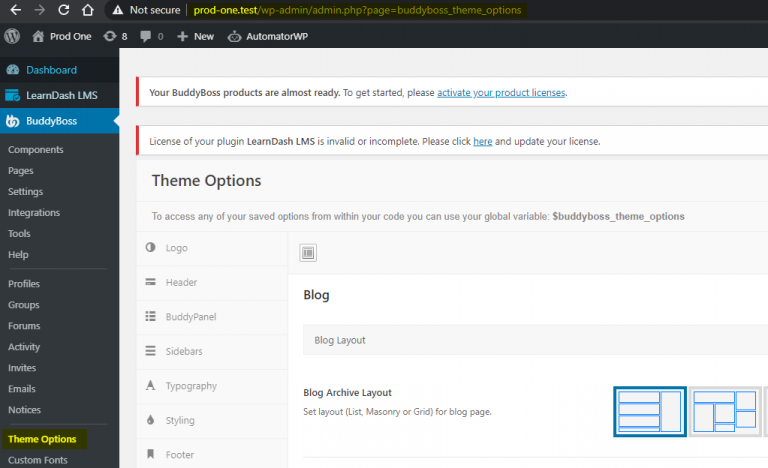Using the BuddyBoss Theme in Development Environments - Developer Tutorials | BuddyBoss Resources