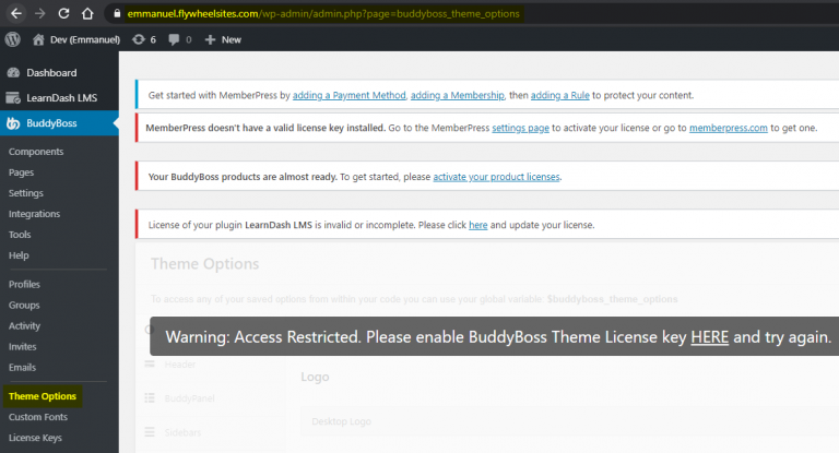 Using the BuddyBoss Theme in Development Environments - Developer Tutorials | BuddyBoss Resources