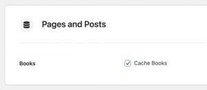 Extending API Caching for new API endpoints - Developer Tutorials | BuddyBoss Resources